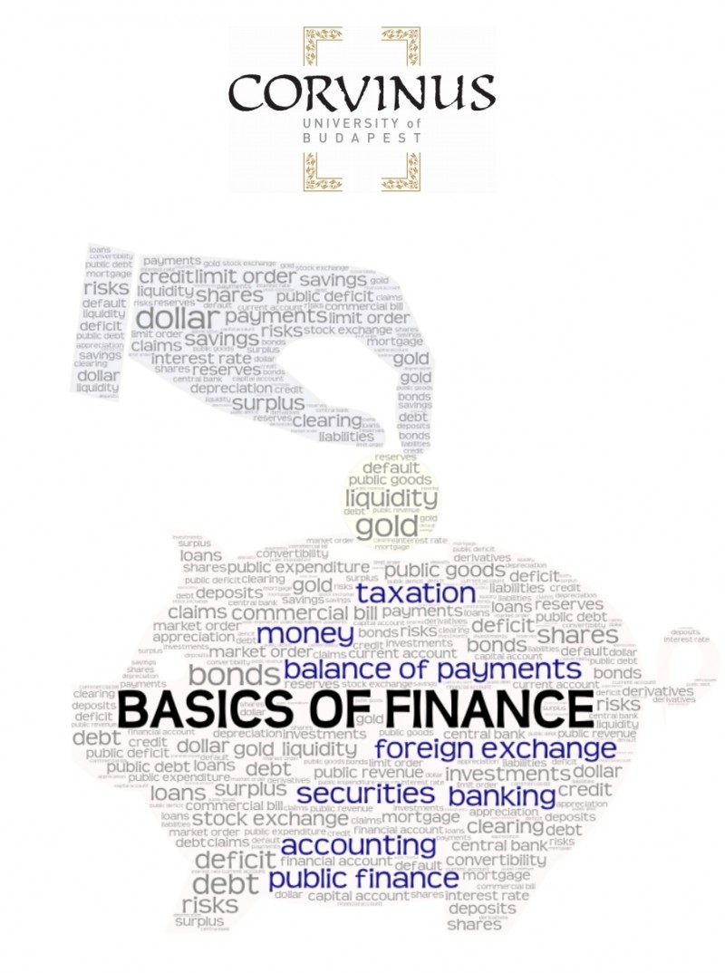 Buy Basics of finance by Ifeanyi Peter on Selar
