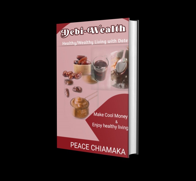 Buy Debi-Wealth by Okpala Chiamaka Peace on Selar