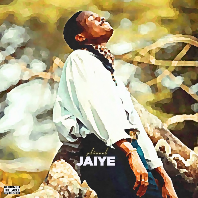 Buy Jaiye by Plicool on Selar