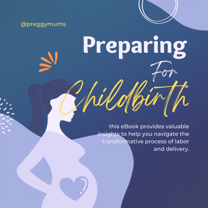 Buy Preparing for Childbirth: Your Step-by-Step Labour and Delivery ...