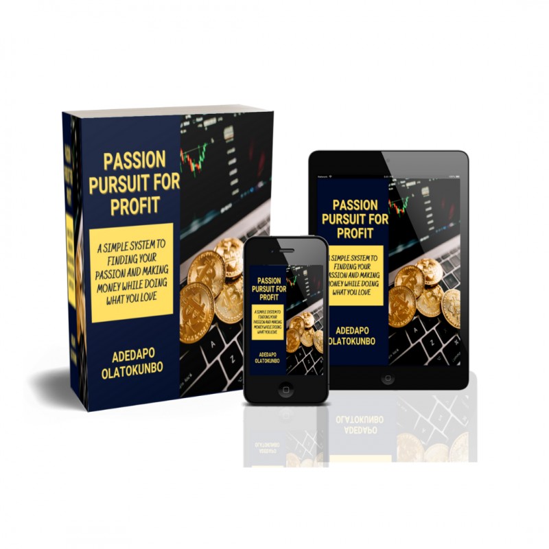 Buy Passion Pursuit For Profit by Olatokunbo Adedapo on Selar