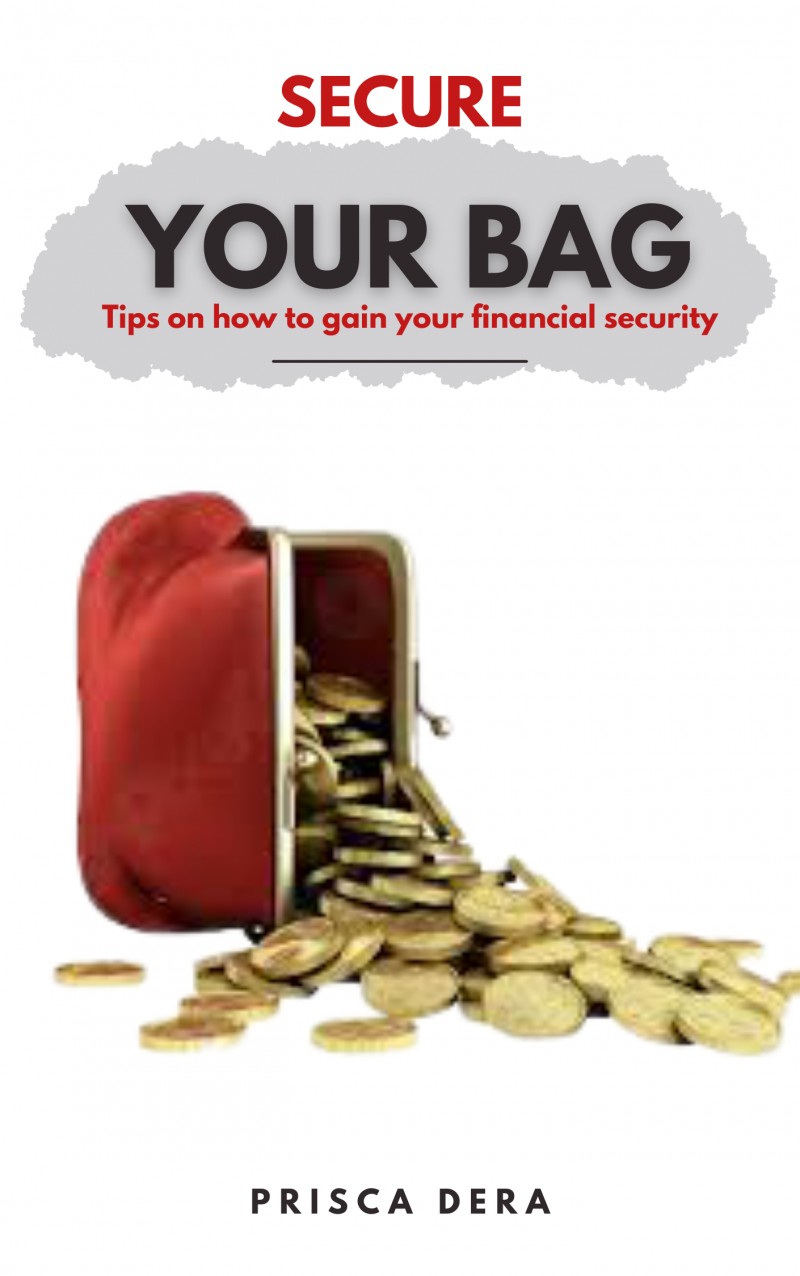 Get Secure Your Bag: Tips on how to gain financial security by Prisca ...