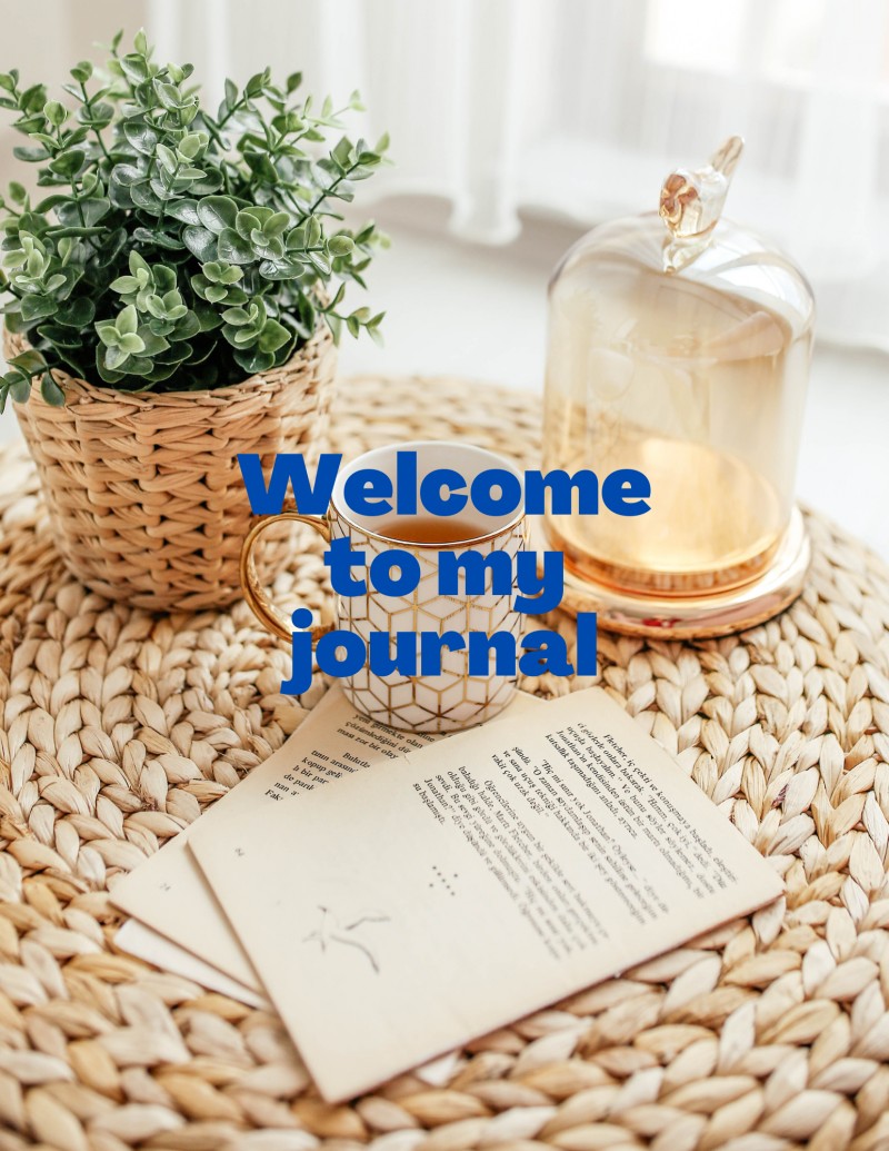 Buy Unleash Your Potential The Ultimate All-in-One Journal by Samuel Seun Gabriel on Selar