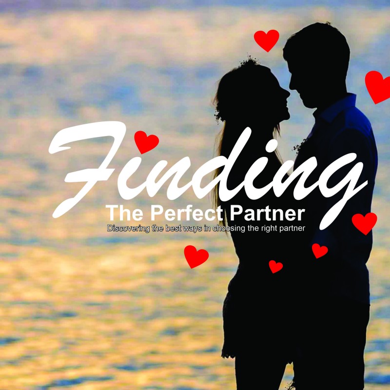 Buy Finding the perfect partner by Prince sey on Selar