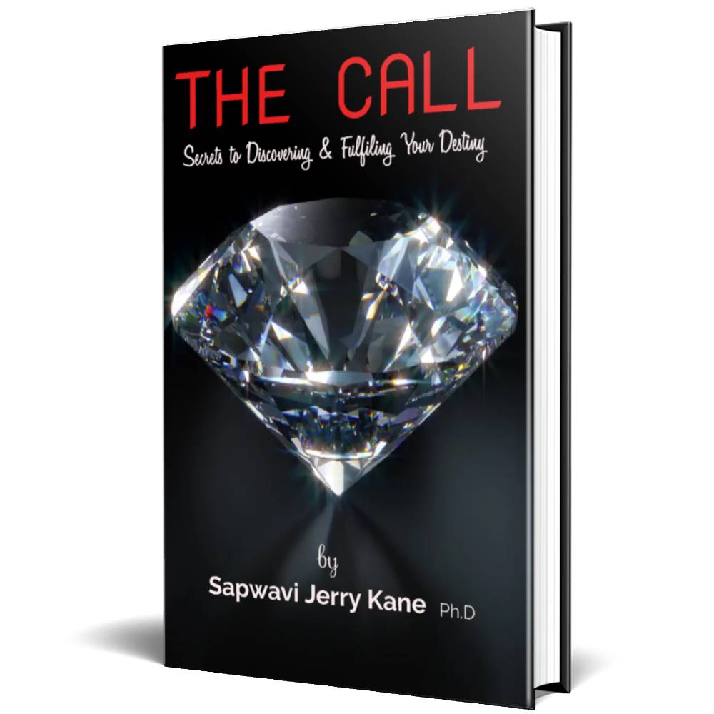 Buy The Call by Sapwavi Kane-Jerry on Selar
