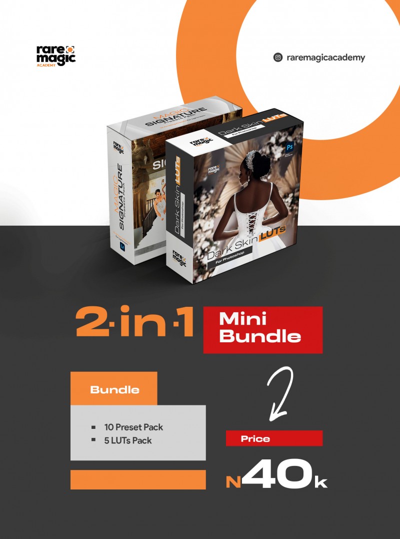 Buy 2-in-1 Mini Bundle (Preset & Luts) by Raremagic Academy Store on Selar