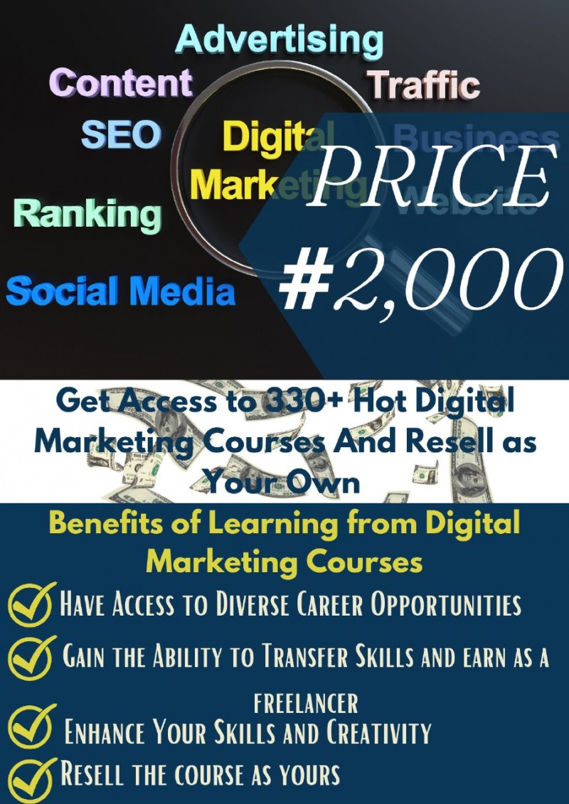 Buy 330+digital marketing courses by Raytech Digital Store on Selar