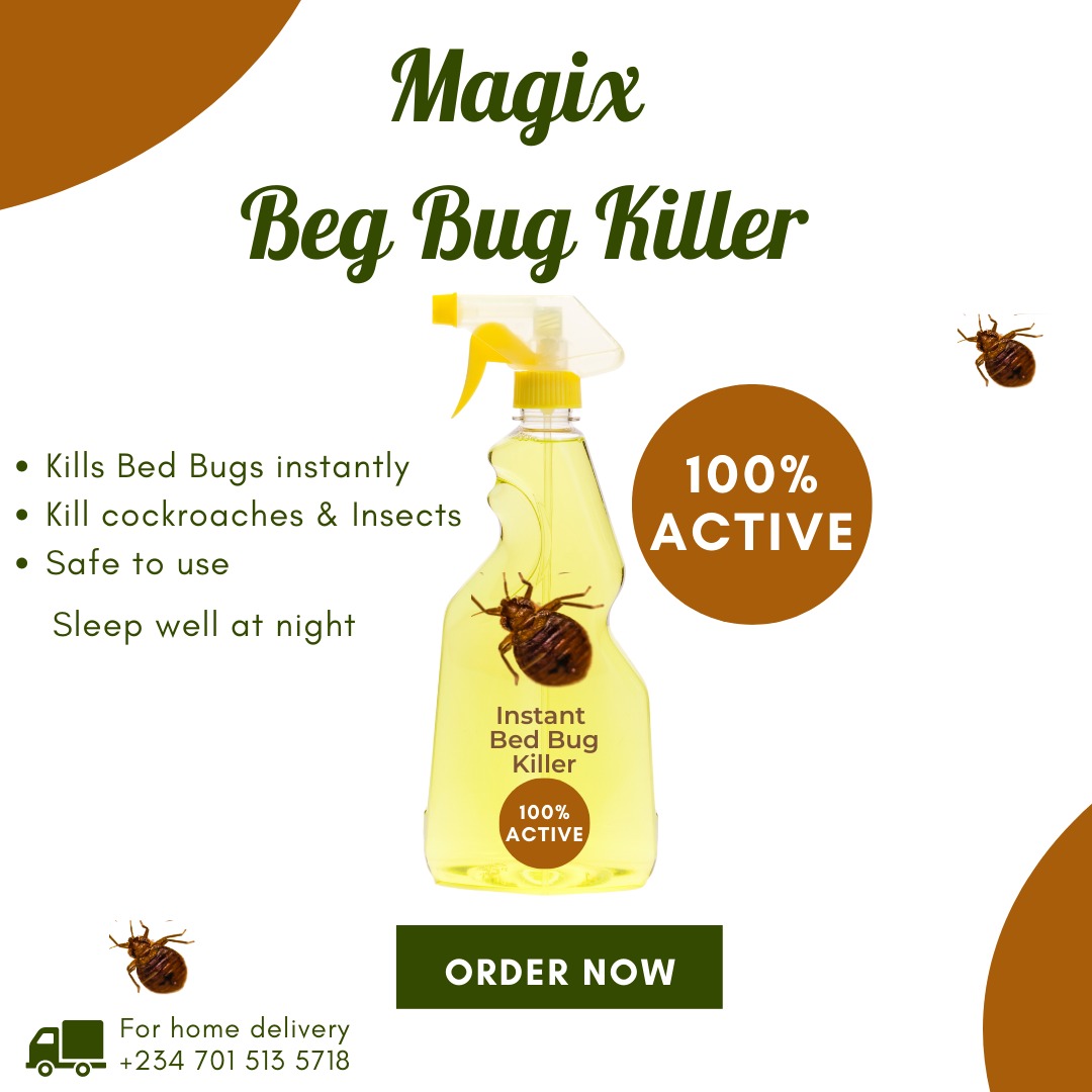 Buy What You Need to Know About Bed Bug(No.1 Instant Beg Bug Killer)How ...