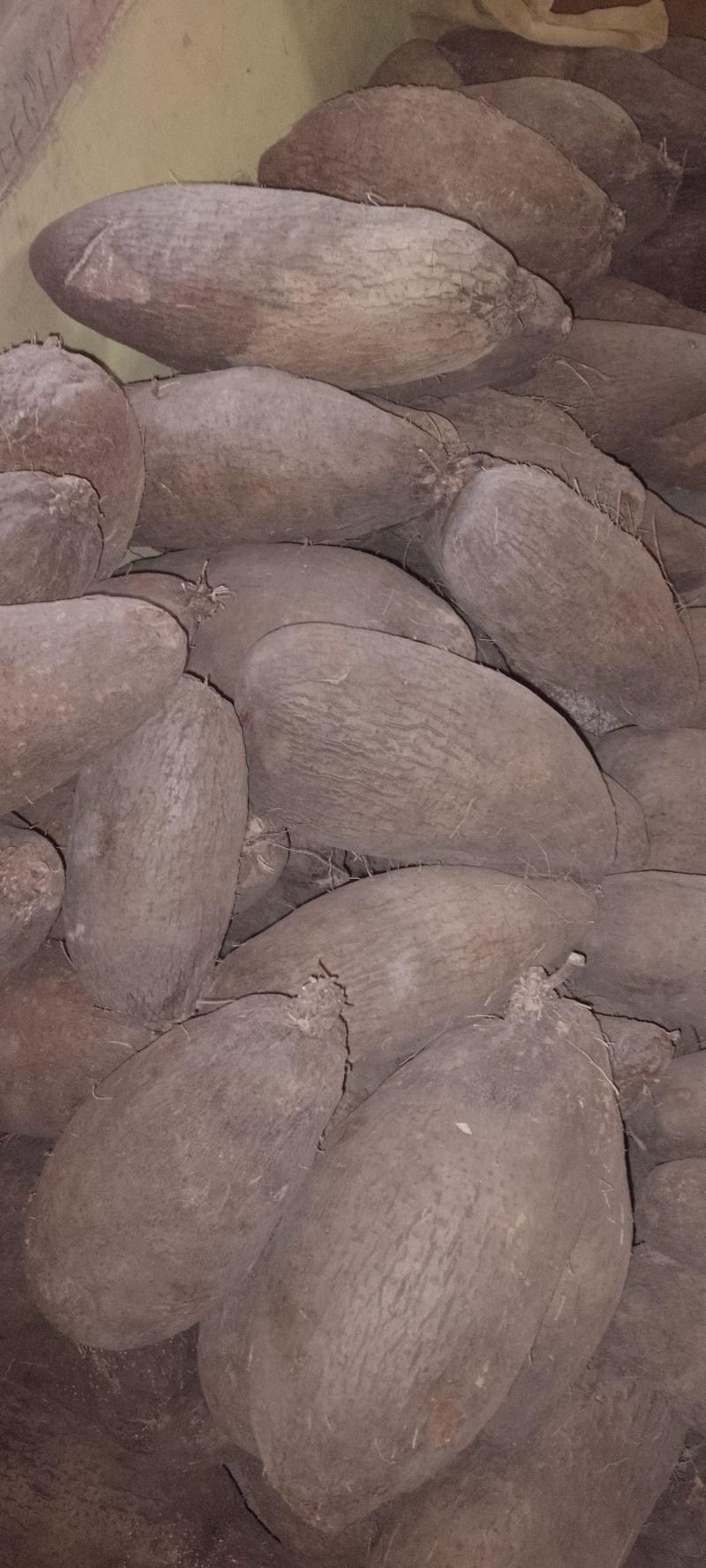 Buy Water Yam by Eby Igabor on Selar