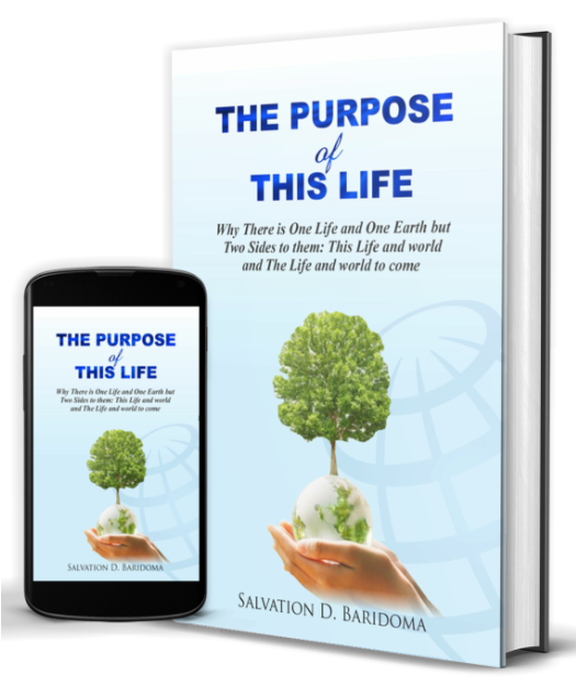 Buy THE PURPOSE OF THIS LIFE: Why There is One Life and One Earth but ...