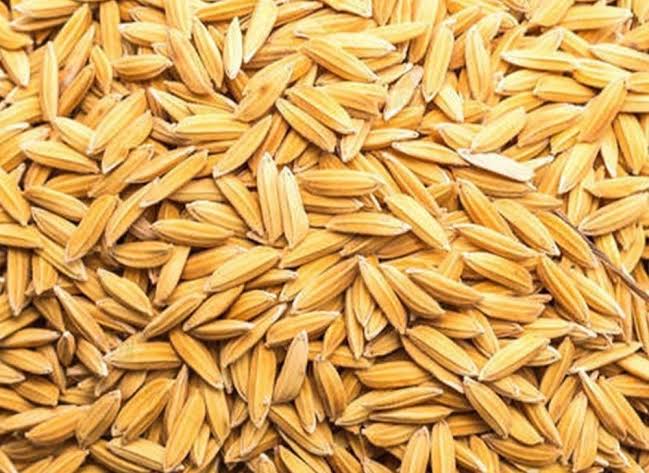 Buy Certified Seeds (Rice FARO 44 Aka SIPI) Per kg by Adesoji Saka on Selar