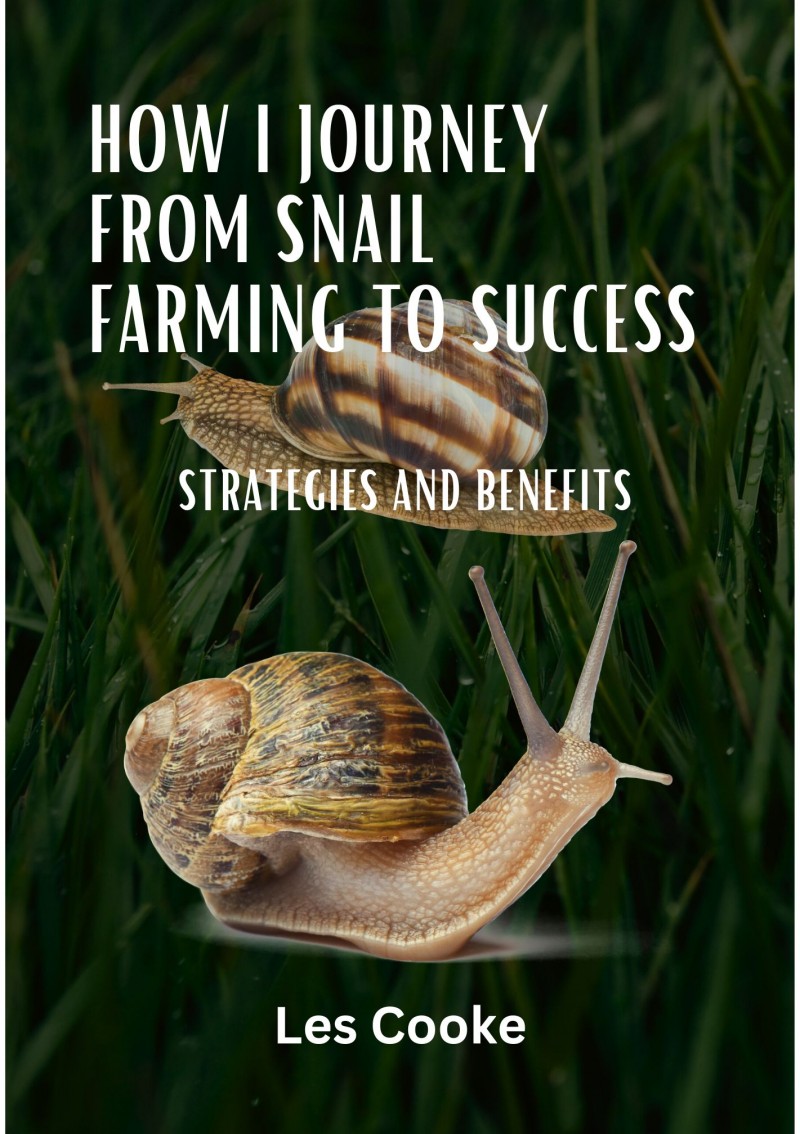Buy HOW I JOURNEY FROM SNAIL 🐌 FARMING TO SUCCESS Strategies And Benefits by Best Sales on Selar