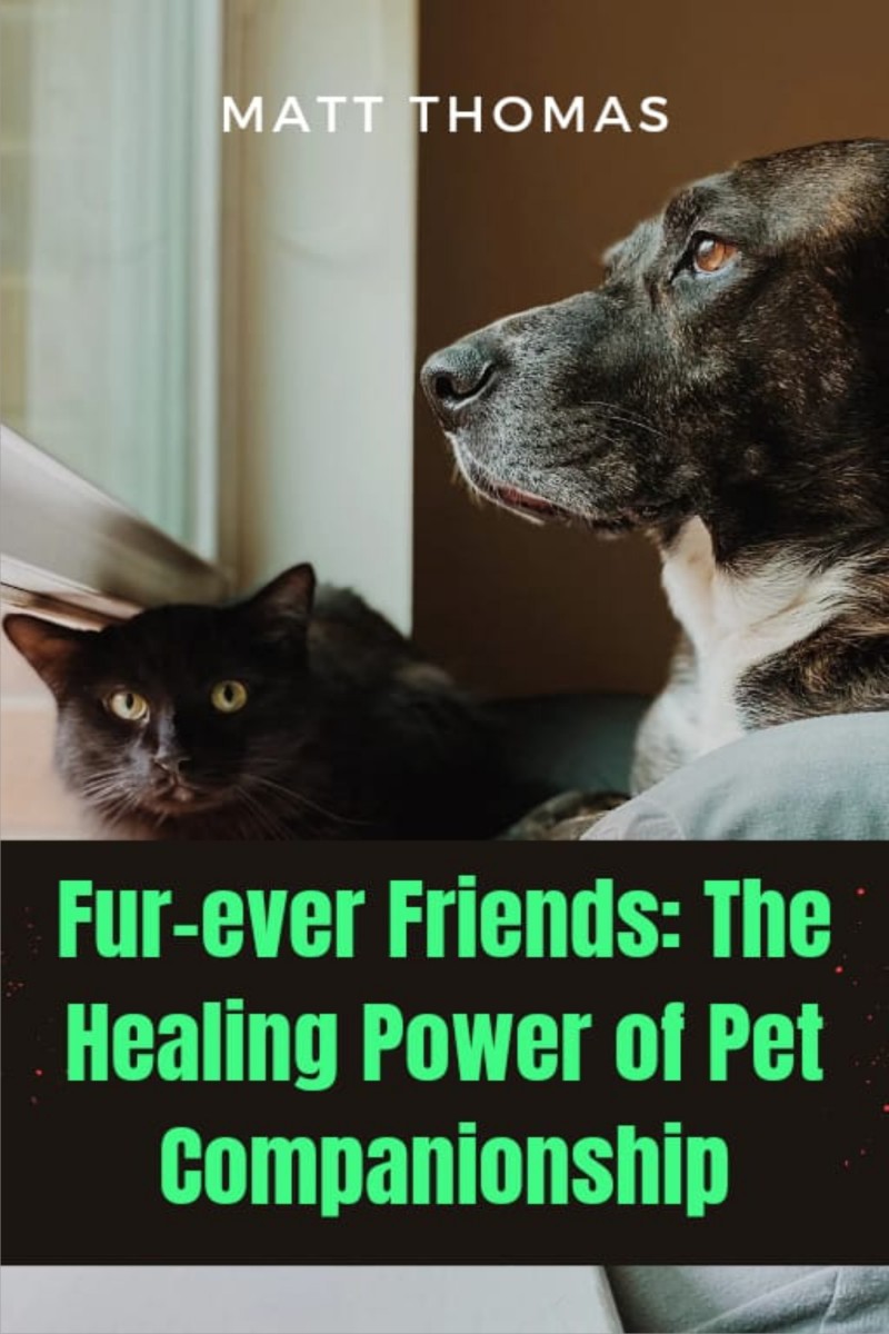 Buy Fur-ever friends: the healing power of pet companionship by Adebayo ...