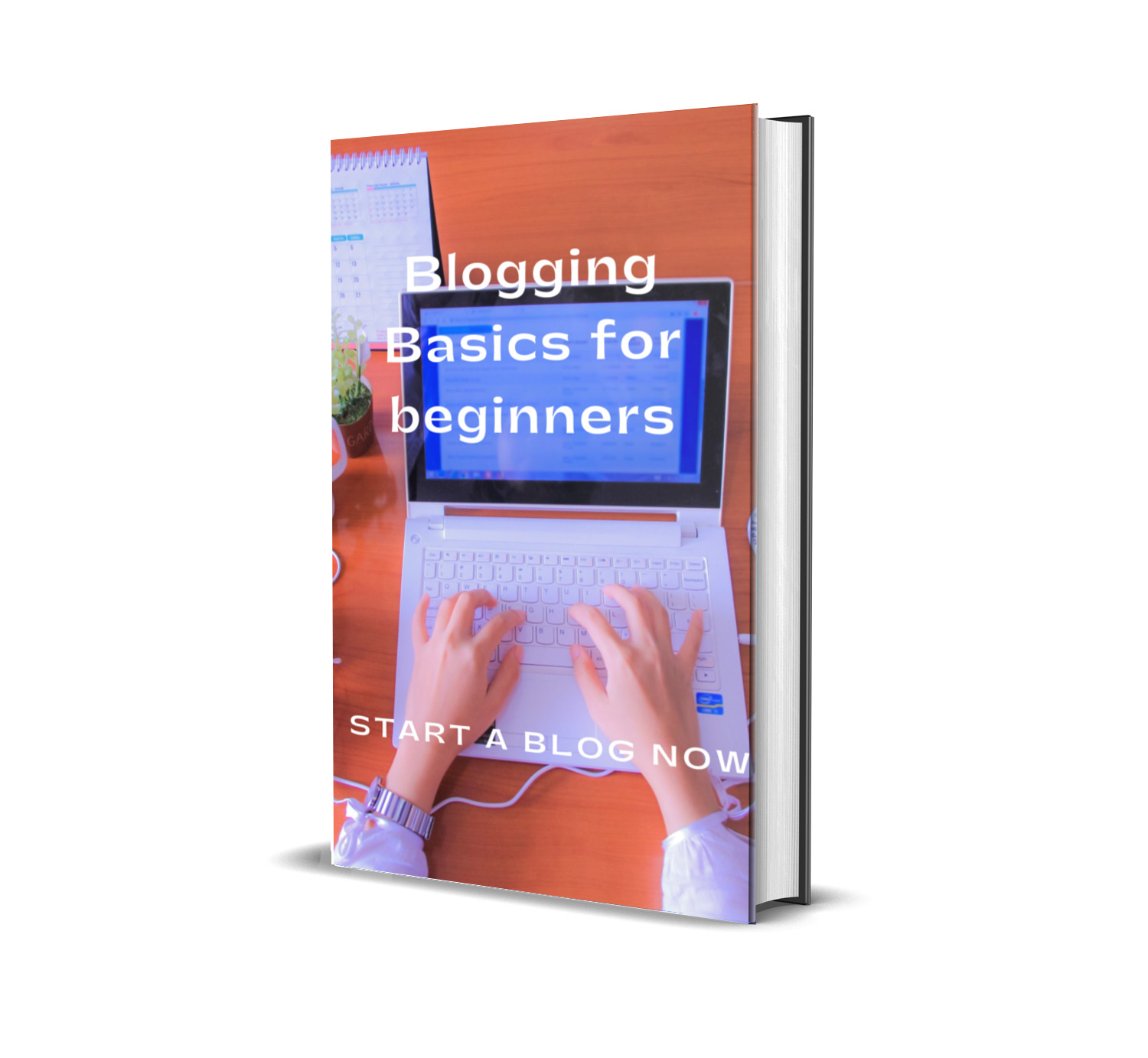 Buy Blogging Basics for beginners by Sani Umar on Selar