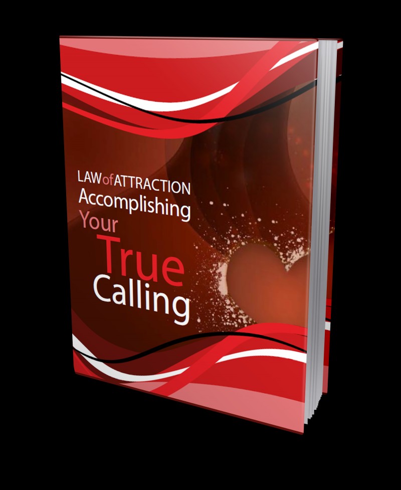 Buy Accomplishing your true calling by The Scene on Selar.co