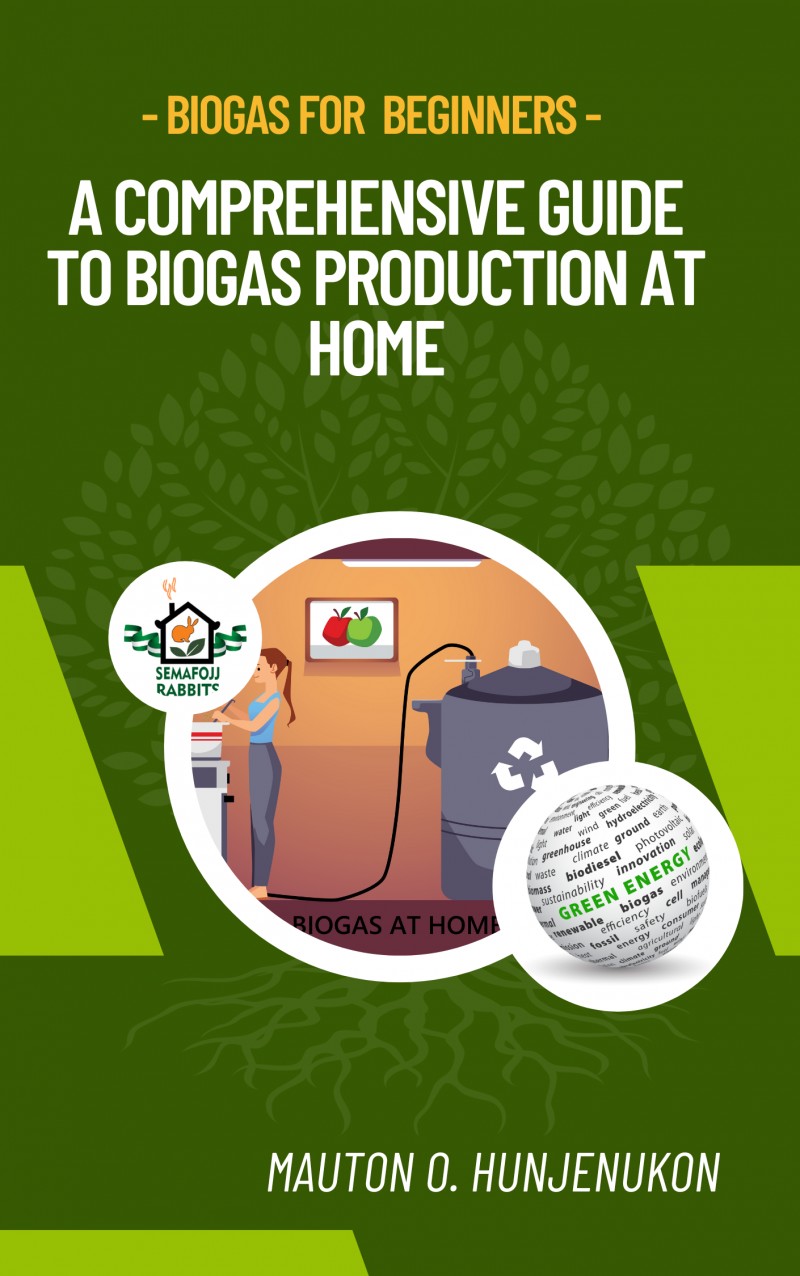 Buy EBOOK ON BIOGAS FOR BEGINNERS: A COMPREHENSIVE GIUDE TO BIOGAS ...