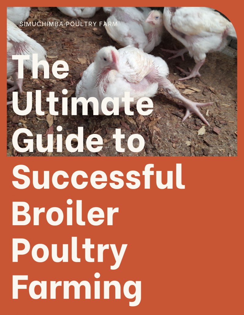 Buy Broiler Poultry farming guide by Steven simuchimba on Selar