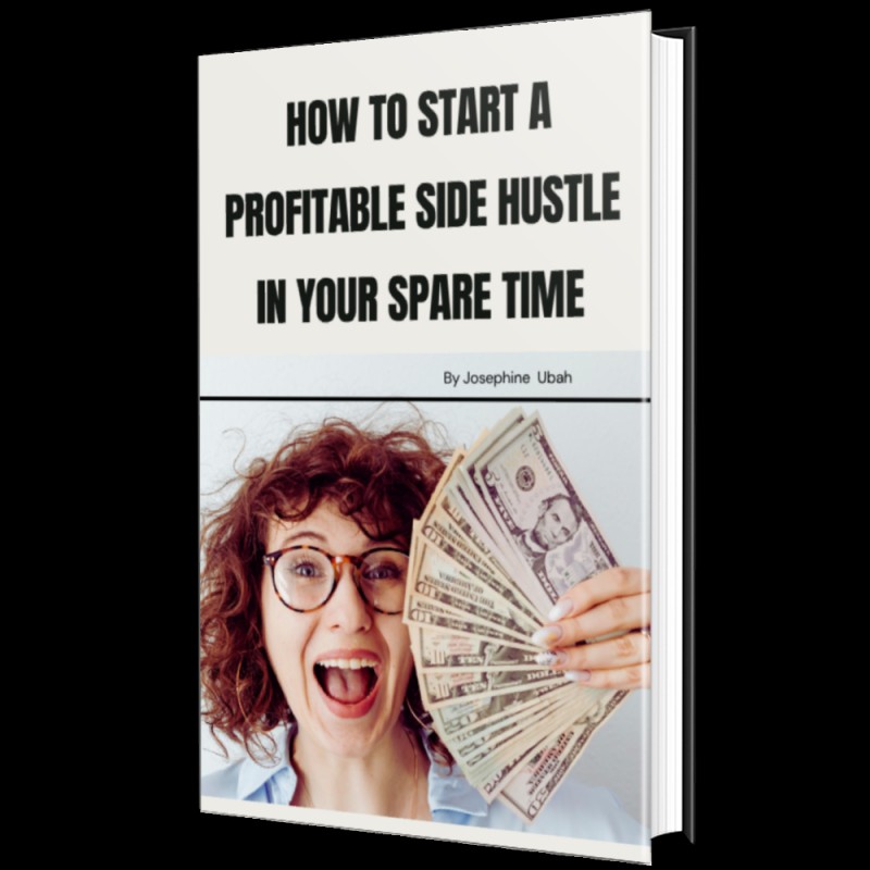 Buy How to Start a Profitable Side Hustle in your Spare Time by skypro Professional Services on ...