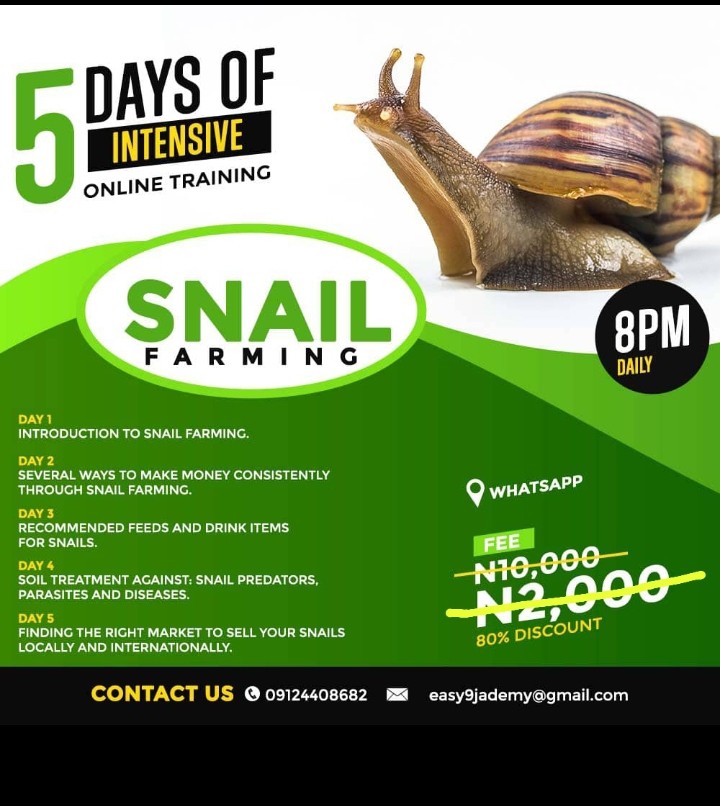Buy Snail Farm Training by Easy Nigeria Snail Farm on Selar