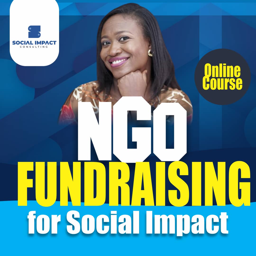Buy NGO Fundraising for Social Impact by Efua Elens-Edeh on Selar