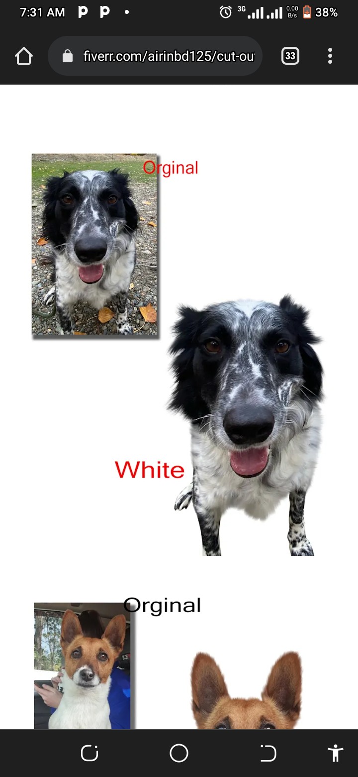 Buy Psets by Solomon Emmanuel on Selar