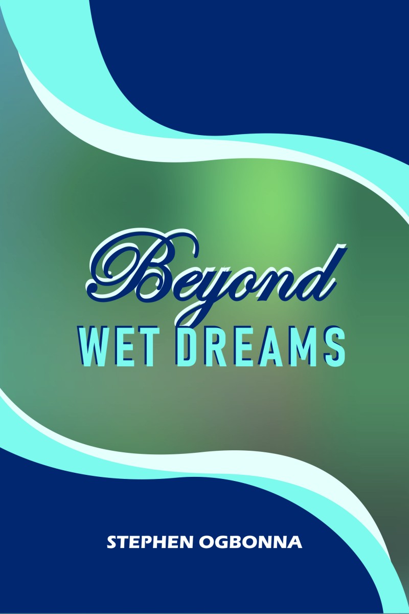 Buy BEYOND WET DREAMS by Stephen Ogbonna on Selar