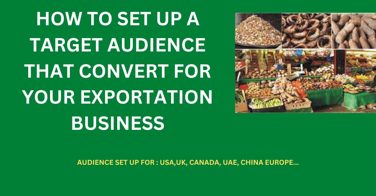 Buy HOW TO SET UP A TARGET AUDIENCE THAT CONVERT FOR YOUR EXPORTATION ...