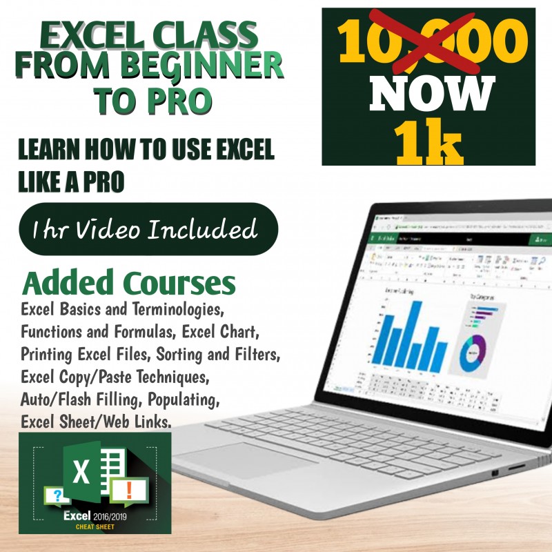 Buy EXCEL CLASS FOR BIGINNERS by Little-Thing on Selar