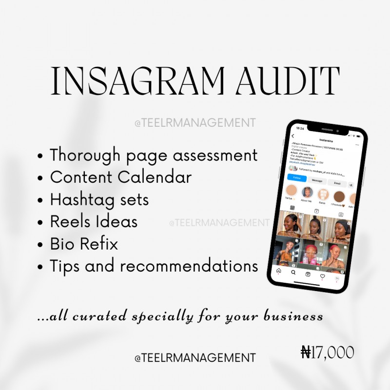 Buy TeeLR Management Social Media Audit Package by Duze Yetunde on Selar