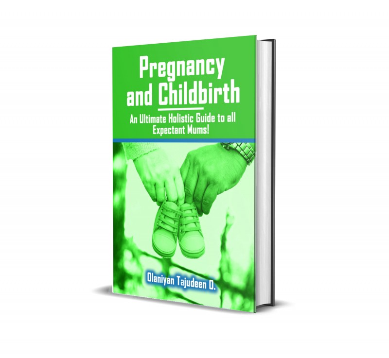 Buy Pregnancy and Childbirth, An ultimate Holistic guide to all expecting mums by Criterion life ...