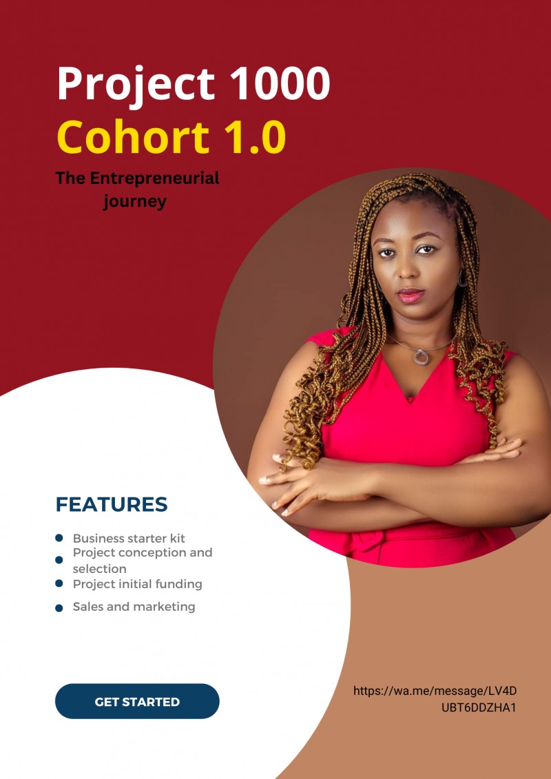 Buy Project 1000 by Shirley Minakaro on Selar