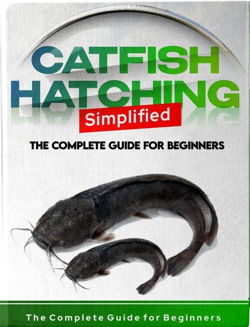Buy Ebook on Catfish Hatching and Basic Water treatment by The FarmLady ...