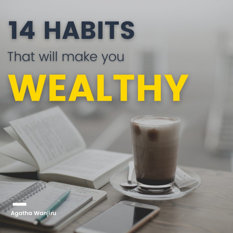Buy 14 Habits That Will Make You Wealthy by The Wealth Tribe on Selar