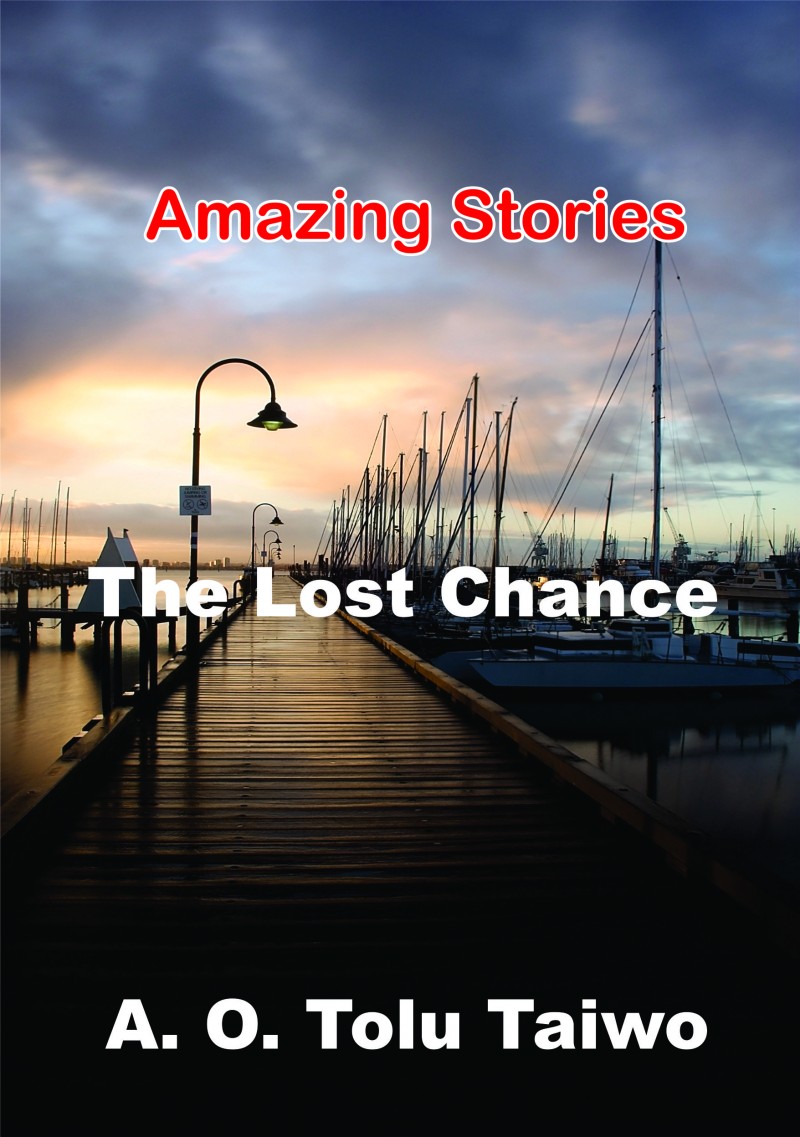 Get THE LOST CHANCE by Andrew Olaitan ToluTaiwo on Selar
