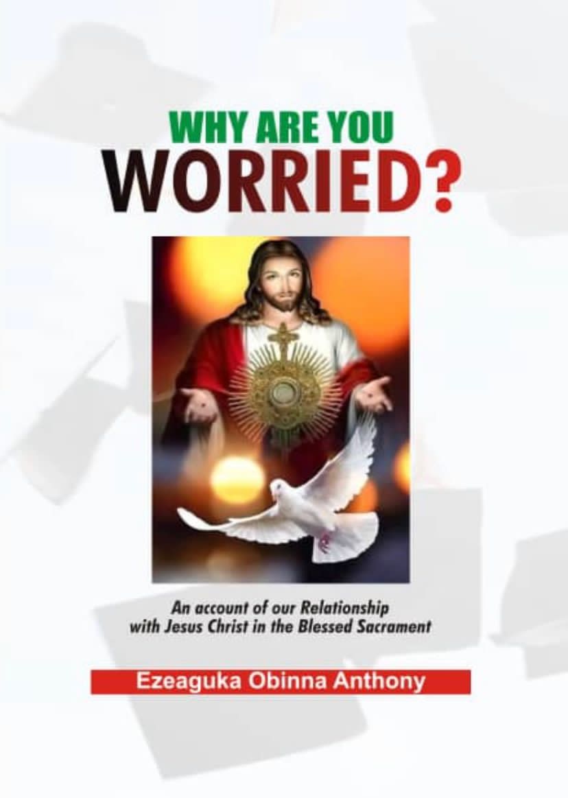 Buy Ebook by Ezeaguka Anthony Obinna on Selar