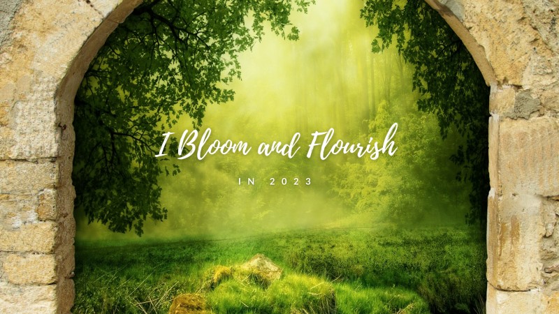 Get I bloom and flourish Desktop wallpaper by Uchechukwu anyadiegwu on ...