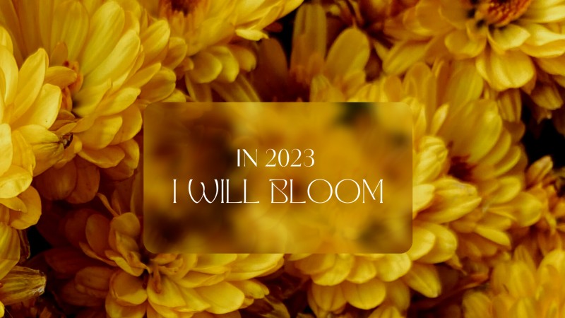 Get I will bloom Desktop wallpaper by Uchechukwu anyadiegwu on Selar.co
