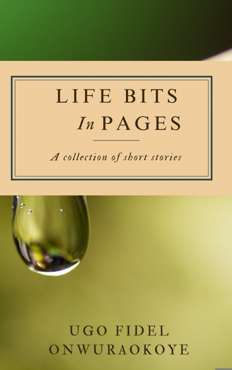 Buy Life Bits In Pages by Ugo Fidel Onwuraokoye on Selar