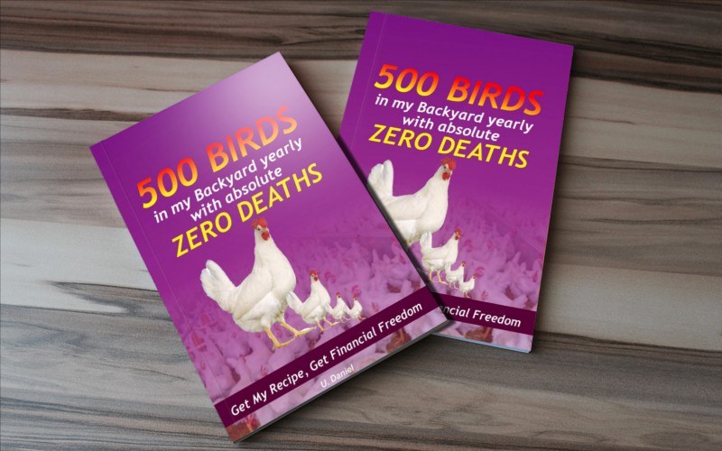 Buy 500 Birds in your backyard yearly with zero deaths - Get my recipe ...