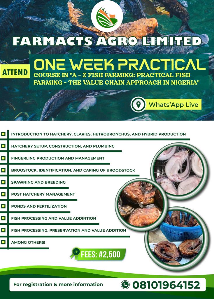 Buy Fish Farming Business in 2024 by Victor Ayoola on Selar