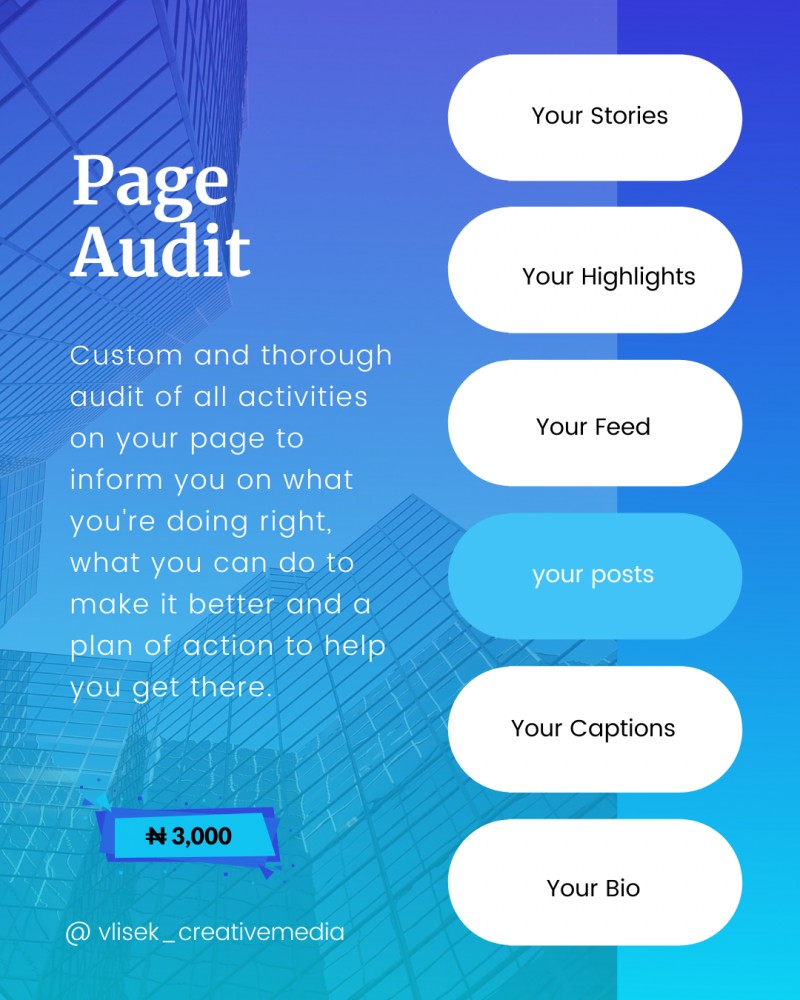 Get Page Audit by Vlisek Creative Media on Selar