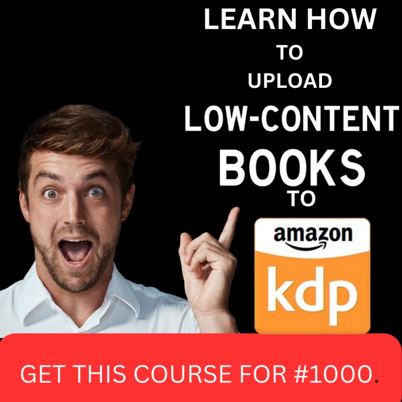 Buy Amazon kdp tutorial by Wabili Digital Mastery on Selar