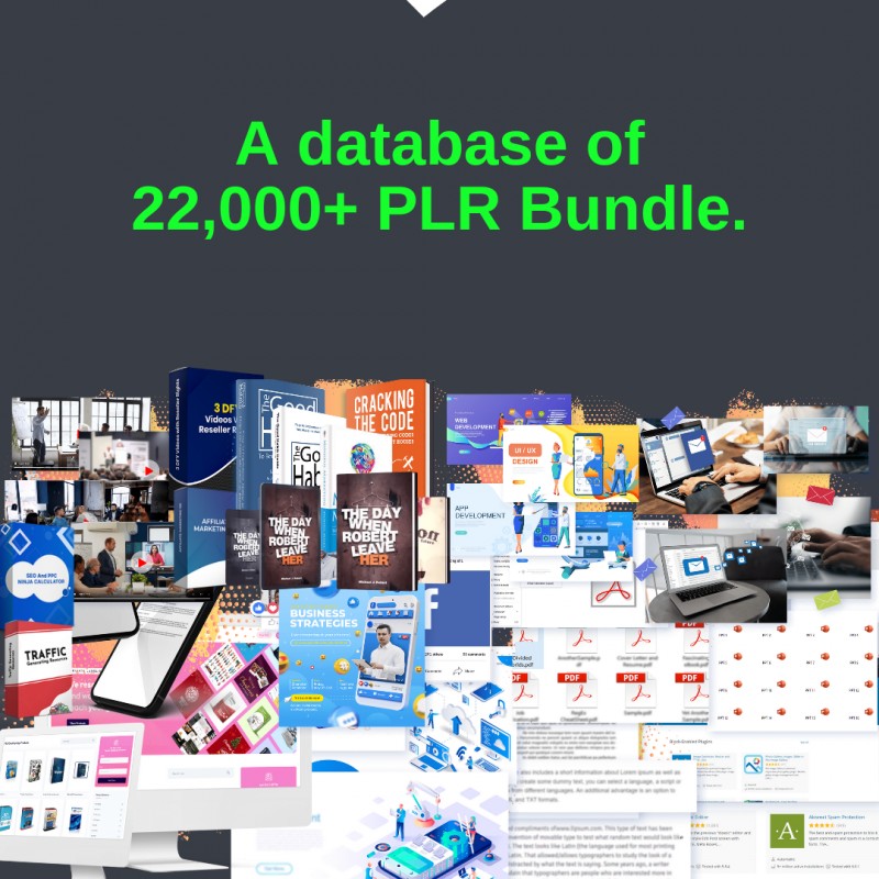 Buy 22,000+ PLR Bundle by Webnedrix on Selar