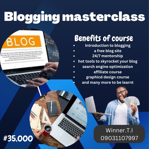 Buy Blogging masterclass by Imisioluwa T Winner on Selar