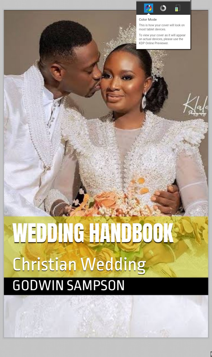 Buy Minister's Wedding Handbook by Winners Health on Selar