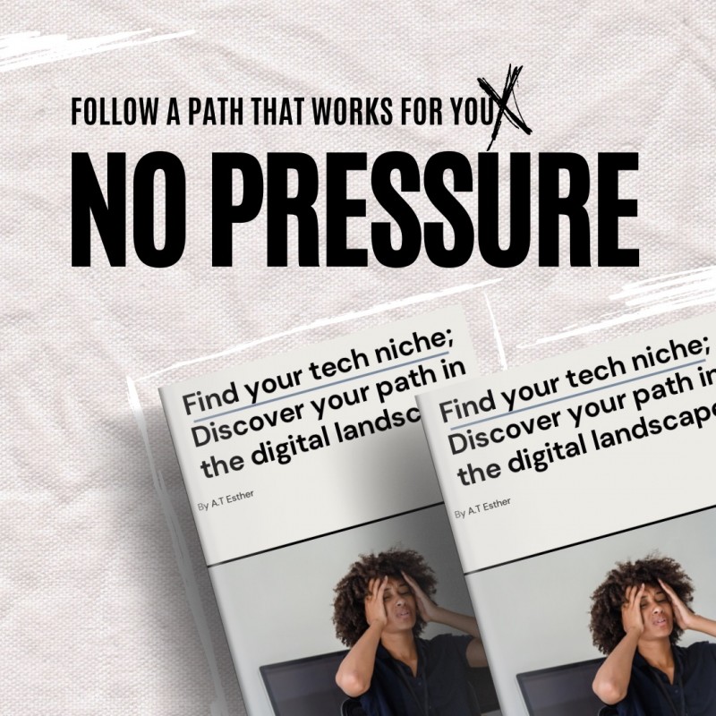 Buy Find Your Tech Niche: Discovering Your Path in The Digital ...