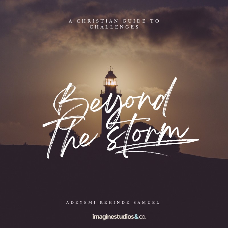 Get Beyond The Storm: A Christian guide to life's challenges by Adeyemi ...