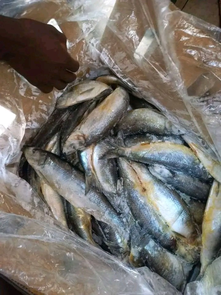 Buy Shawa fish by Afma collection on Selar