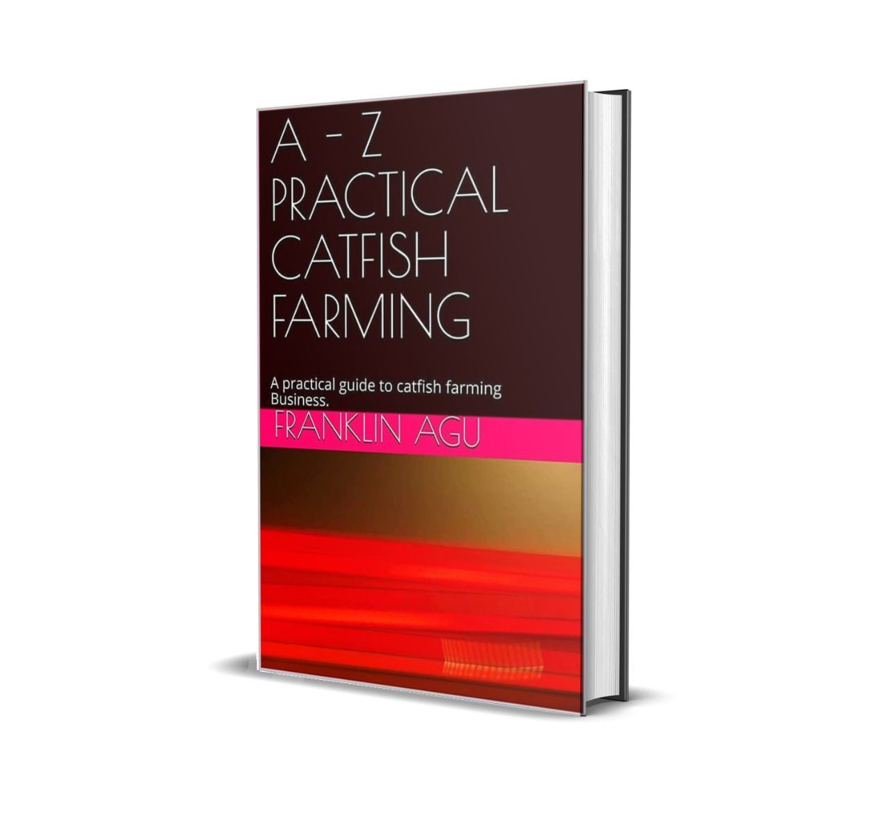 Buy A-Z Practical Catfish farming by Agu Emeka Franklin on Selar