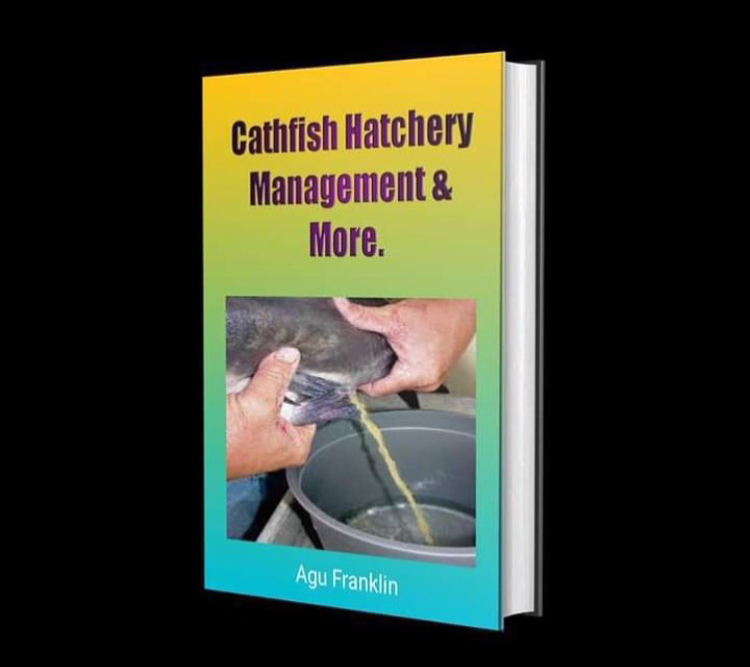 Buy Catfish Hatchery Management & More by Agu Emeka Franklin on Selar